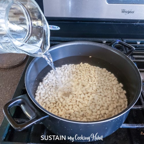 Simple & Tasty Romano Bean Salad Recipe - Sustain My Cooking Habit
