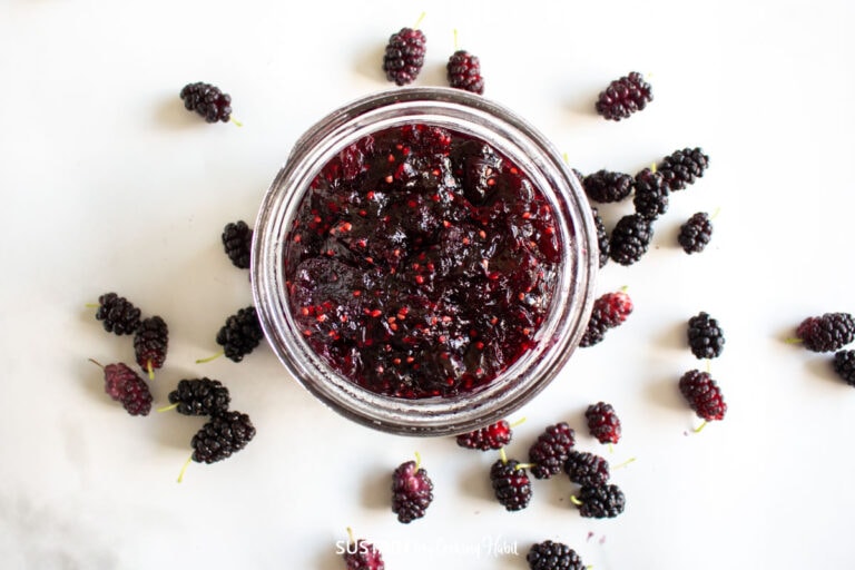 10 Delicious Mulberry Recipes - Sustain My Cooking Habit