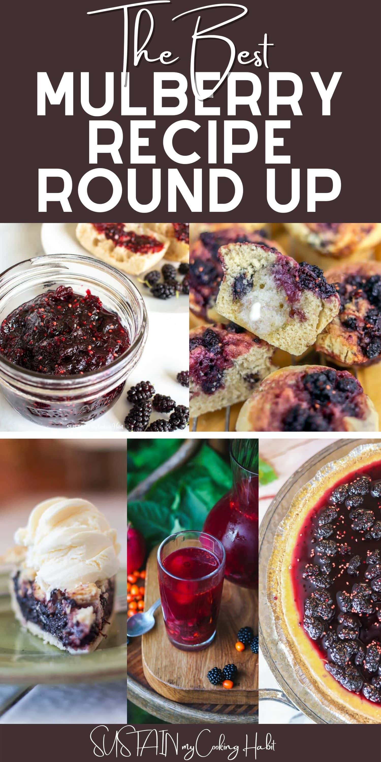 10 Delicious Mulberry Recipes - Sustain My Cooking Habit