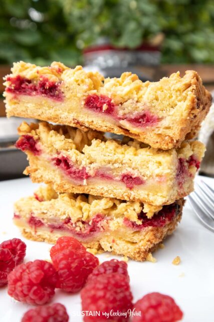 Delightful Raspberry Dessert Squares - Sustain My Cooking Habit