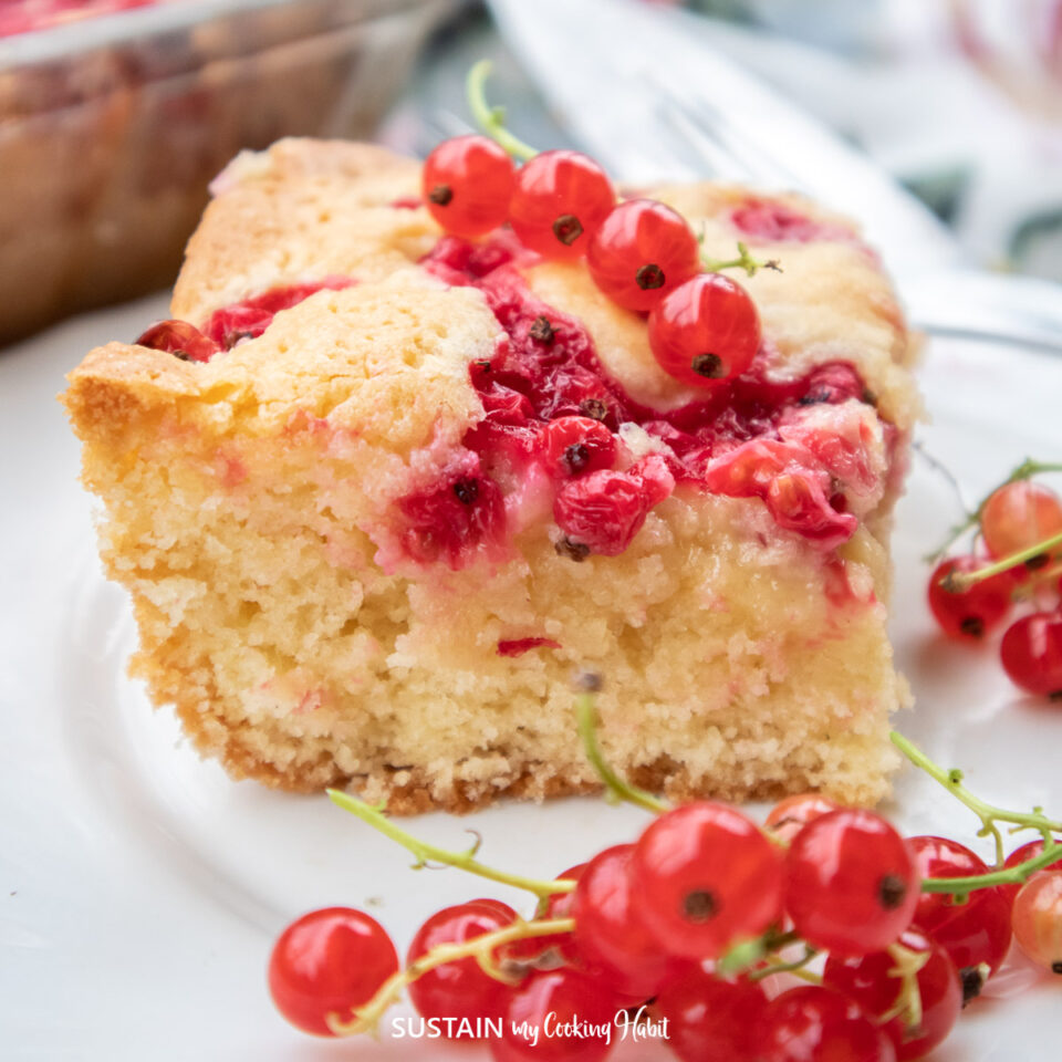 Sweet and Sour Red Currant Cake Recipe - Sustain My Cooking Habit