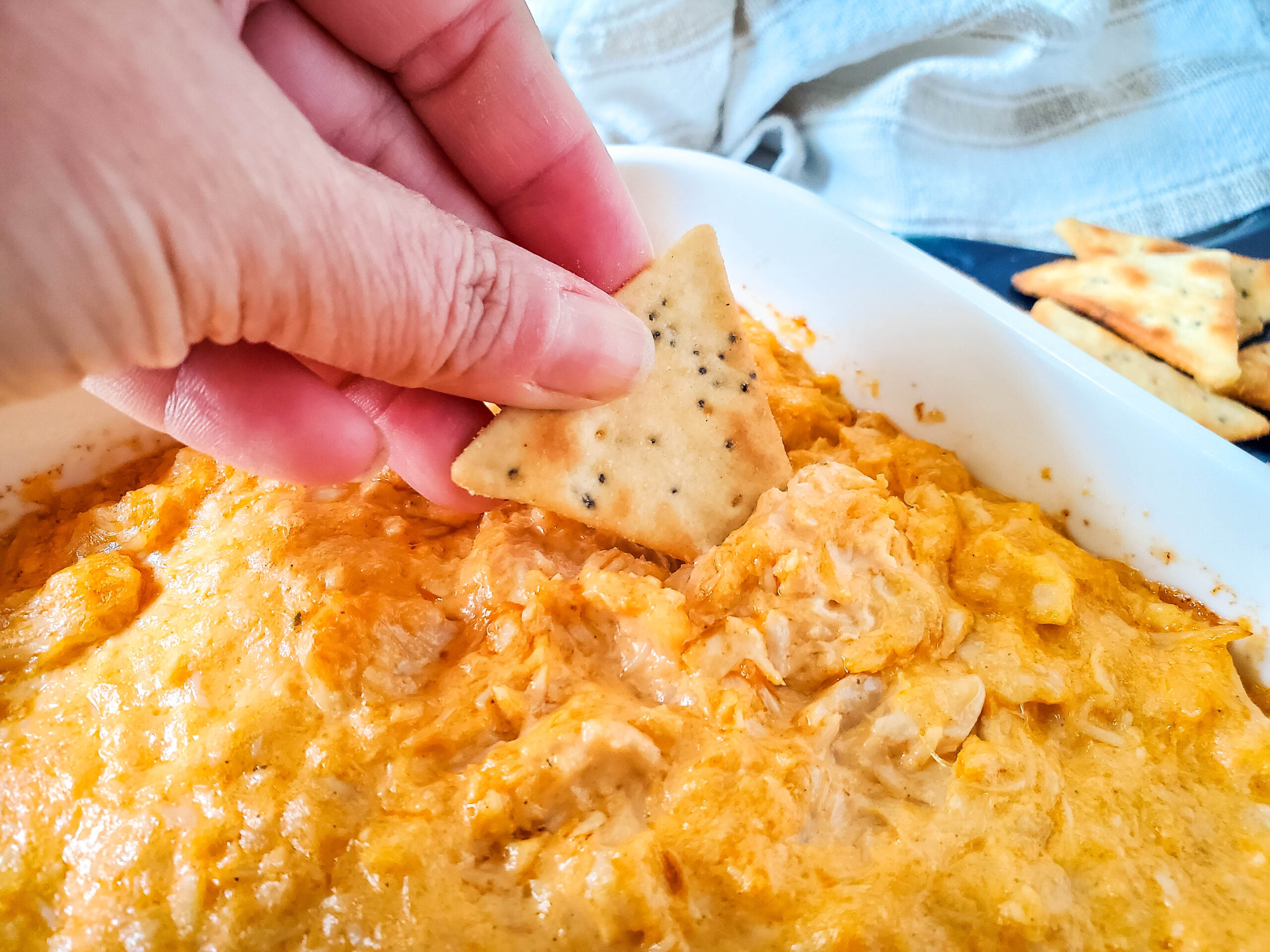 Easy Crockpot Buffalo Chicken Dip Recipe - Sustain My Cooking Habit