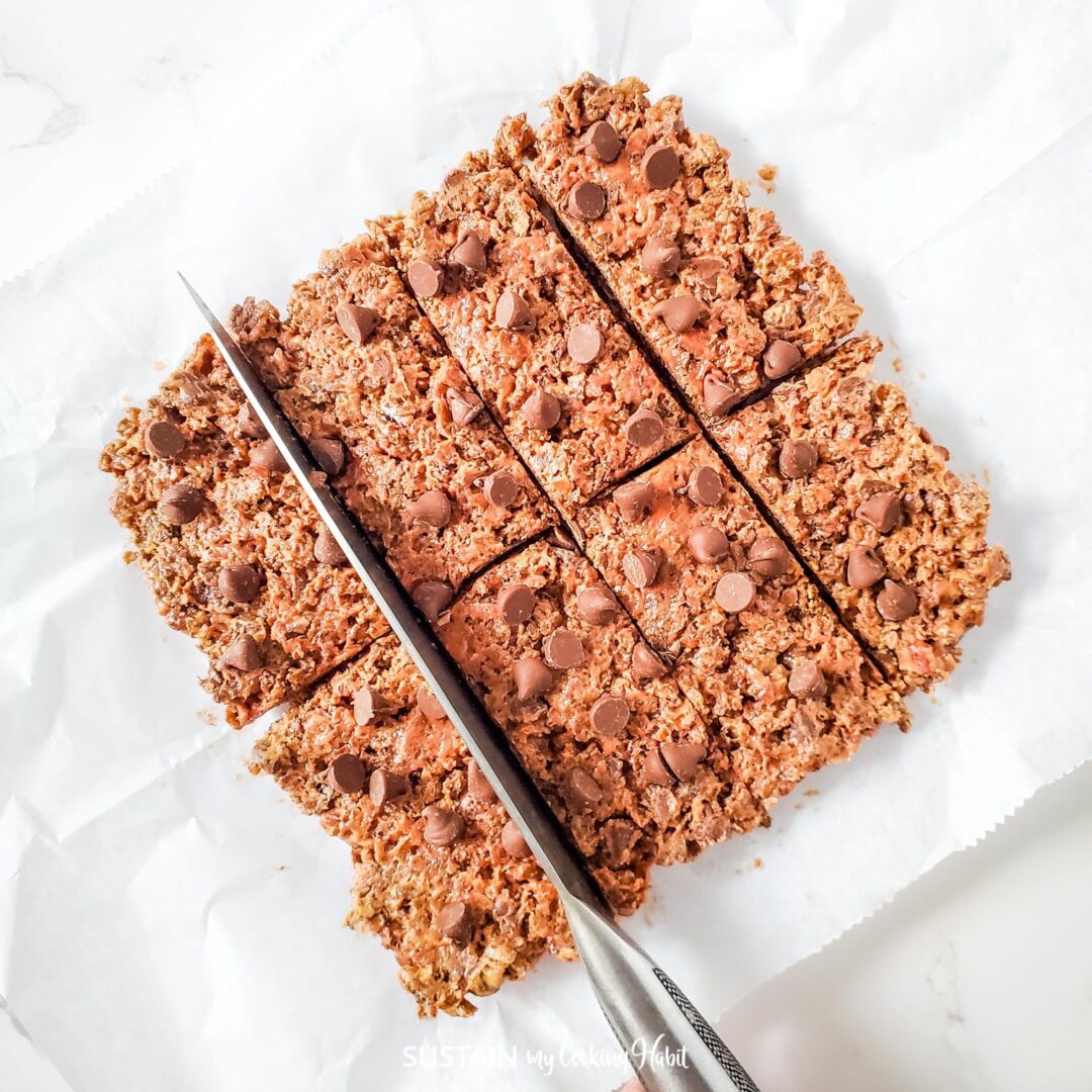 Delicious Double Chocolate Protein Bar Recipe - Sustain My Cooking Habit