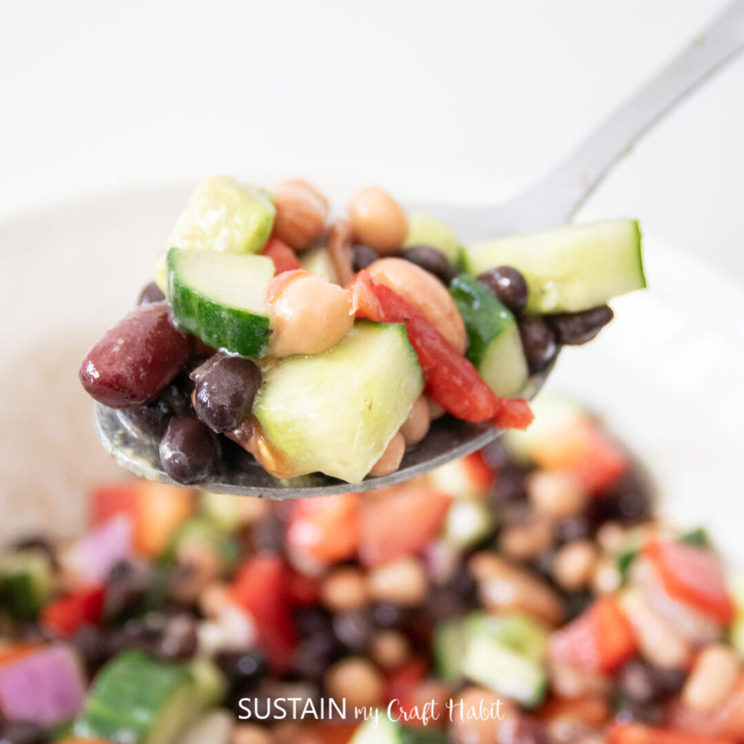 Easy Black Bean and Vegetable Salad Recipe - Sustain My Cooking Habit