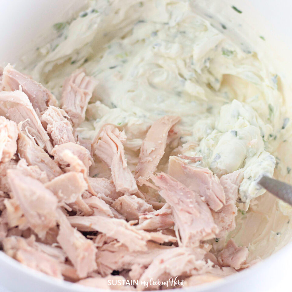 Easy Chicken Pocket Recipe with Crescent Rolls - Sustain My Cooking Habit