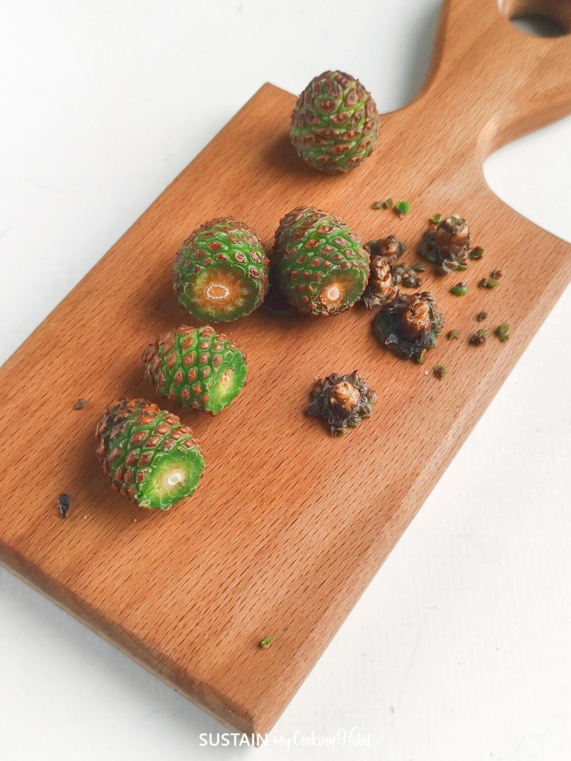 Pine Cone Jam Recipe - Sustain My Cooking Habit