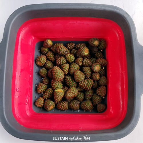 Pine Cone Jam Recipe - Sustain My Cooking Habit