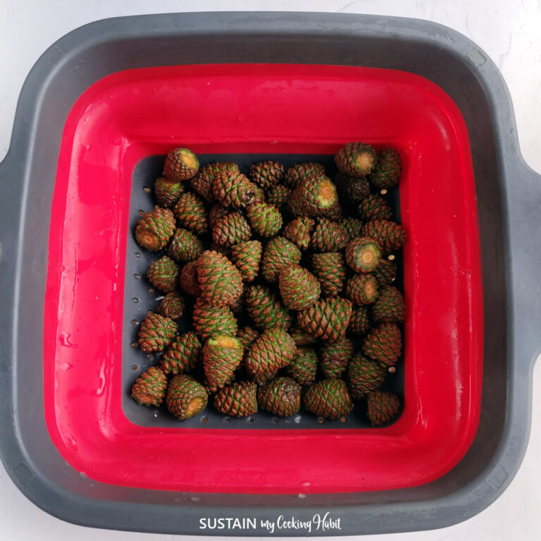 Pine Cone Jam Recipe - Sustain My Cooking Habit