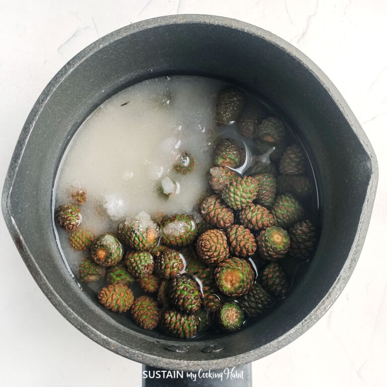 Pine Cone Jam Recipe - Sustain My Cooking Habit