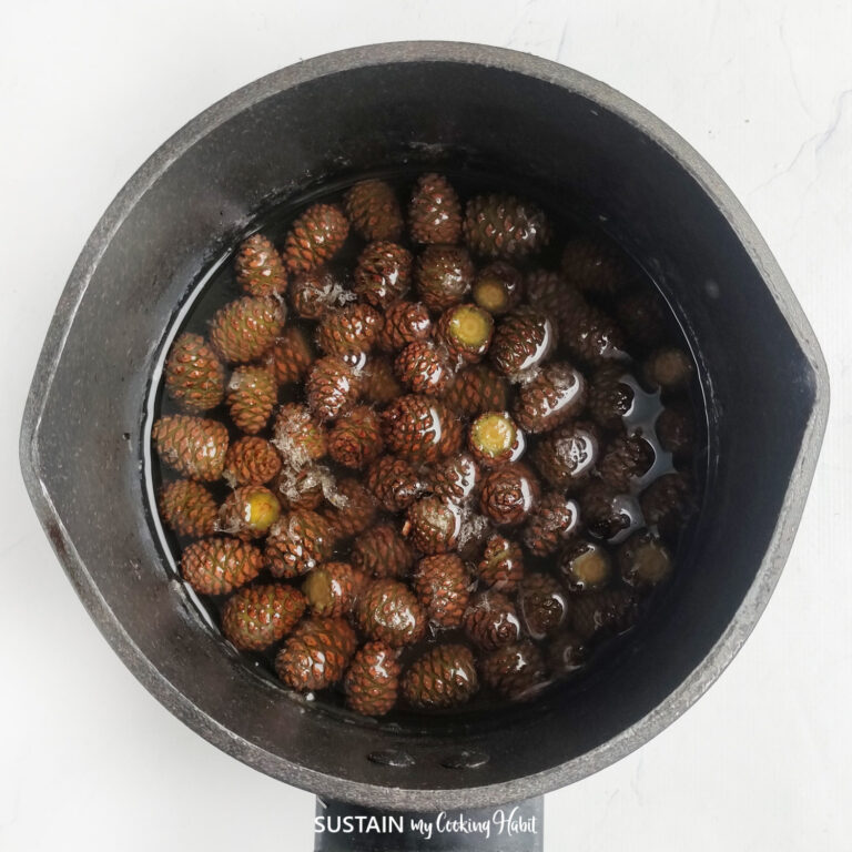 Pine Cone Jam Recipe - Sustain My Cooking Habit