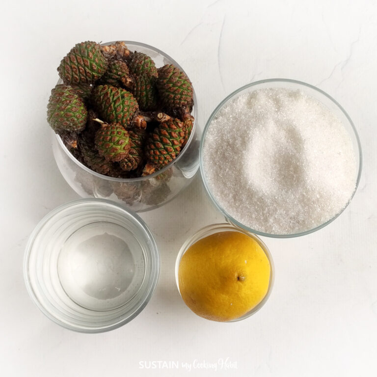 Pine Cone Jam Recipe - Sustain My Cooking Habit