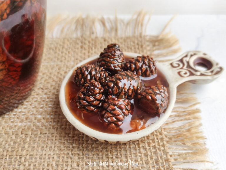 Pine Cone Jam Recipe - Sustain My Cooking Habit