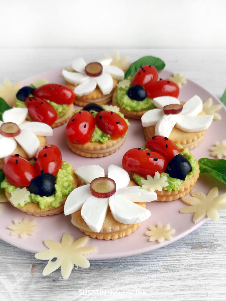 Lady Bug Charcuterie Board Idea - Sustain My Cooking Habit
