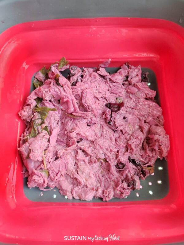 Rose Petal Syrup Recipe - Sustain My Cooking Habit