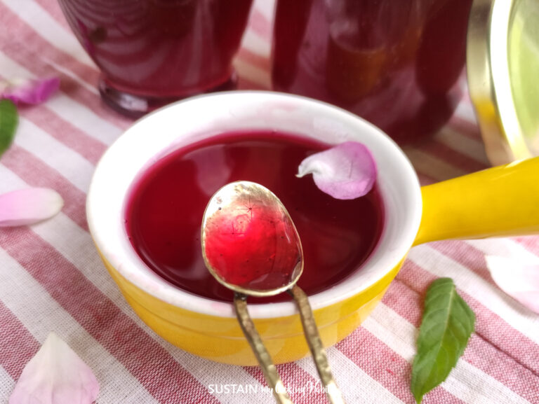Rose Petal Syrup Recipe - Sustain My Cooking Habit